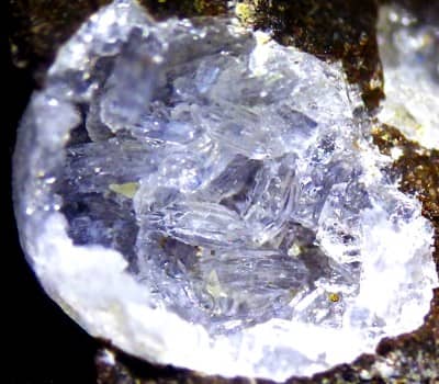 Levyne: Properties and Occurrence - Assignment Point