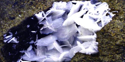 Levyne: Properties and Occurrence - Assignment Point