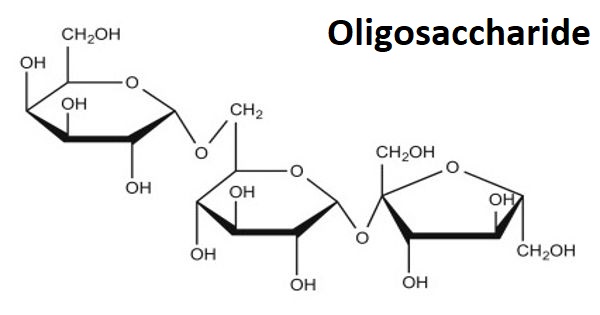 Schematic Overview Of Oligosaccharides With Survey On 44 OFF