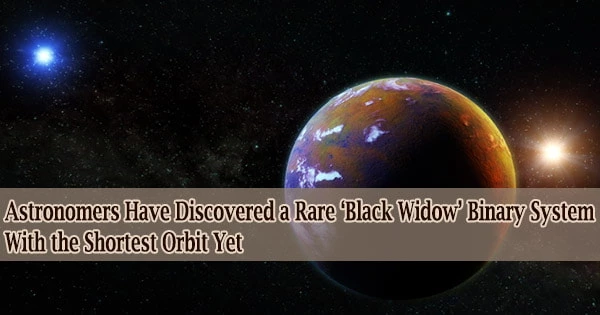 Astronomers Have Discovered a Rare ‘Black Widow’ Binary System With the ...