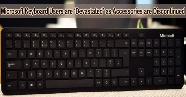 Microsoft Keyboard Users are ‘Devastated’ as Accessories are ...