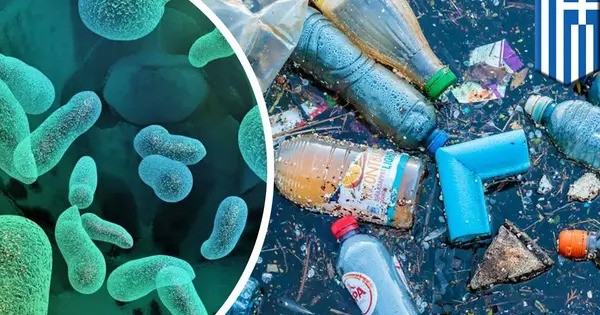 Bacteria found in the Ocean that consume Plastic - Assignment Point