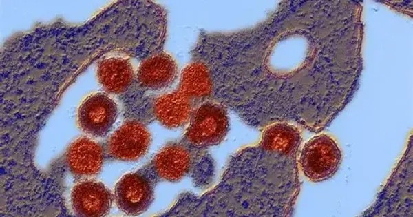 Modern Illnesses may be defeated by ancient Viruses concealed within ...