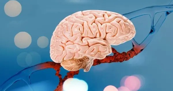 Researchers discover a Brain chemical linked to Trauma and Sadness ...