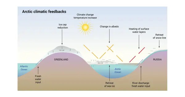 Researchers discovered a Risky Feedback Loop that is speeding up Arctic ...