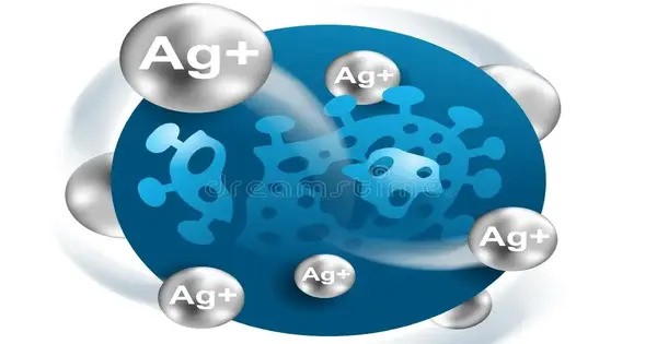 Silver Proteinate - Assignment Point